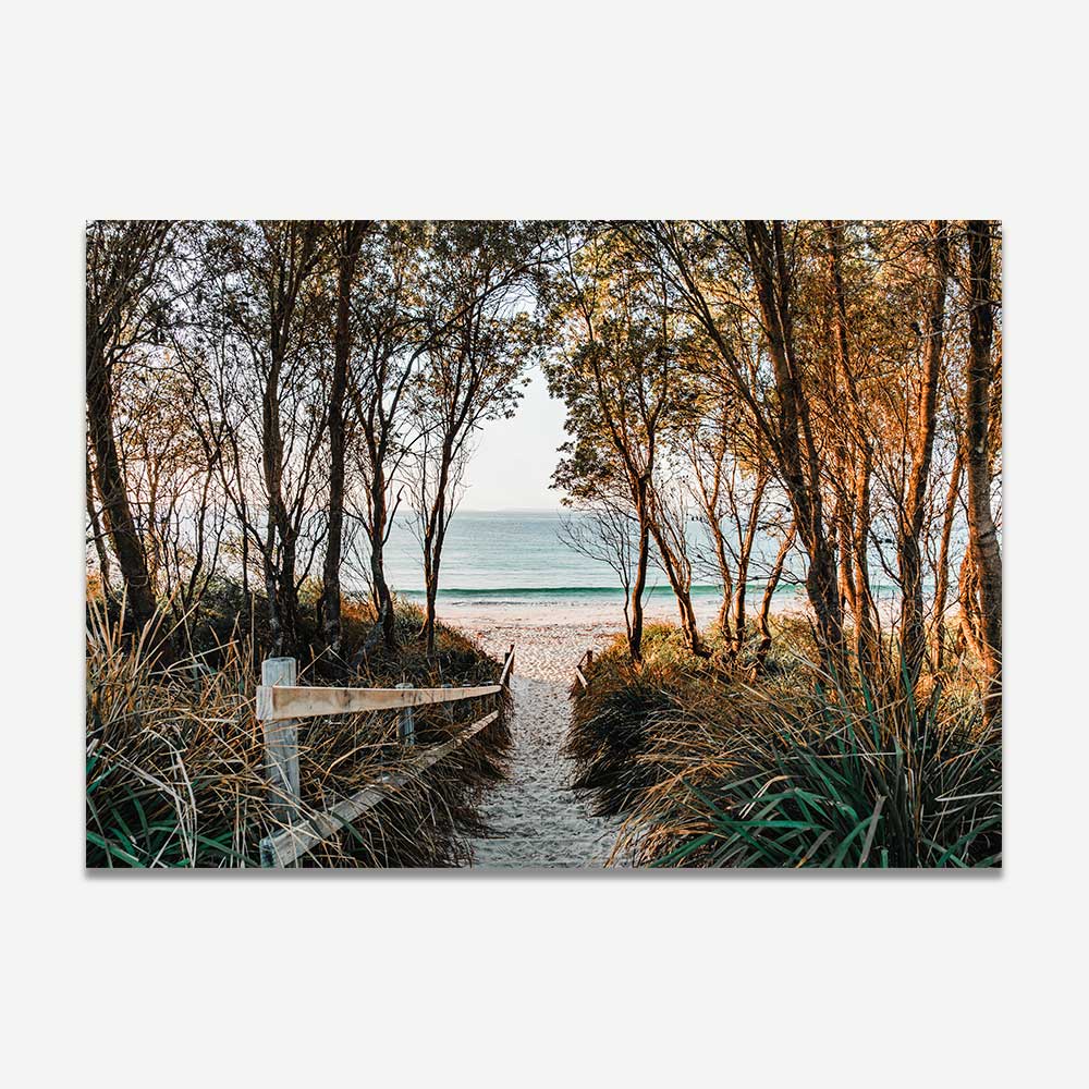 Sunrise at pathway to Callala Beach – Tranquil Australian Coastal Wall ...