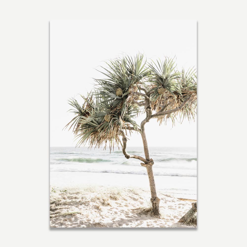 Shop Exclusive Palm Tree Wall Art Print or Poster I Oblong Shop