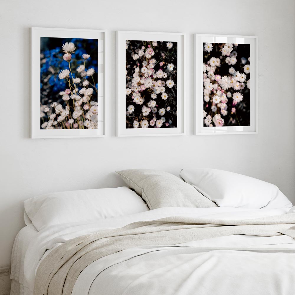 Buy Set of 3 Australian Paper Daisy Fine Art I Oblong Shop