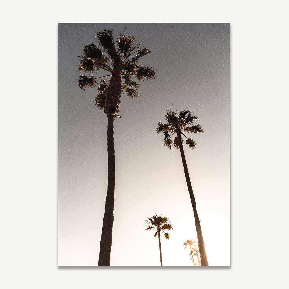 Shop Palm Trees California Coastal Wall Art Print Framed I Oblong Shop